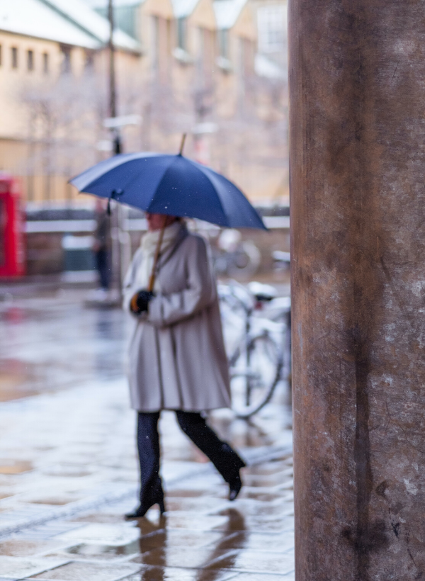 Here’s Everything You Need To Know About Dubai’s Raining Street – Villa88