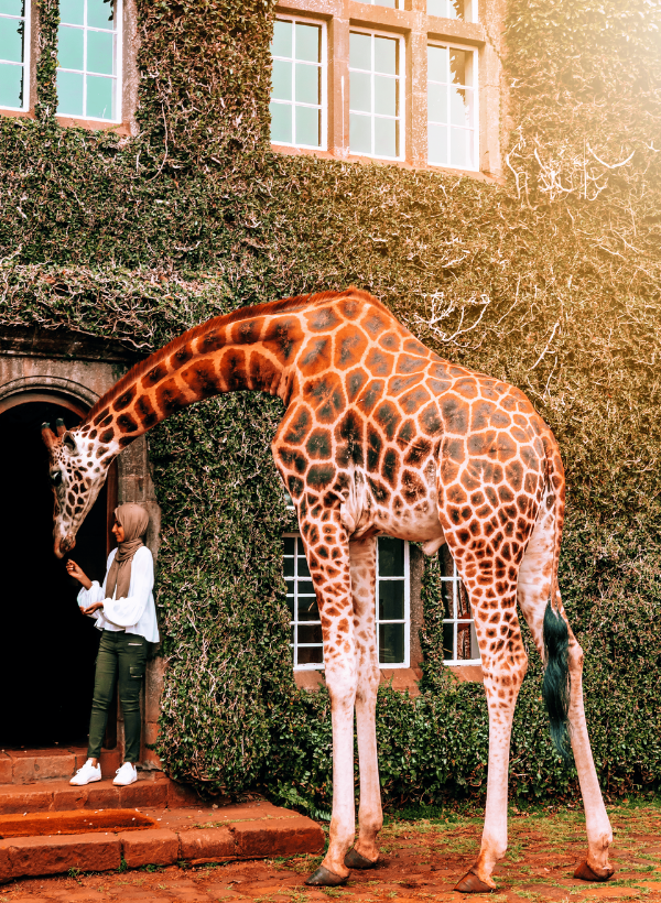 Dubai-Based Sukaina Rajabali Reveals This Destination Is A Photographer ...