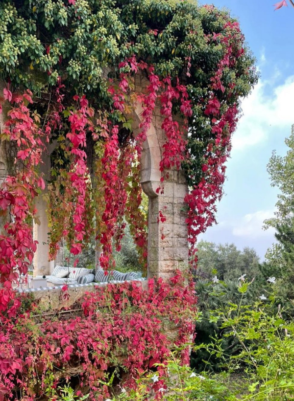 Inside Lifestyle Influencer Dima Al Sheikhly Dreamy Wedding – Villa88